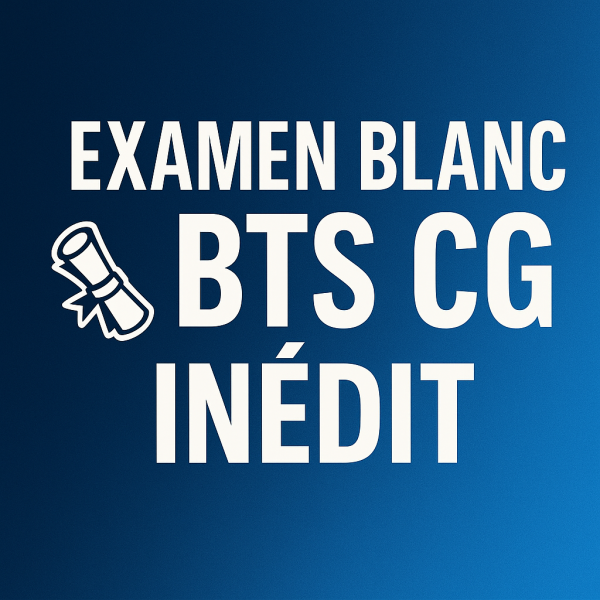 Examen Blanc Inédit BTS CG - E4.1 et E2 - FICHEBEN FORMATIONS